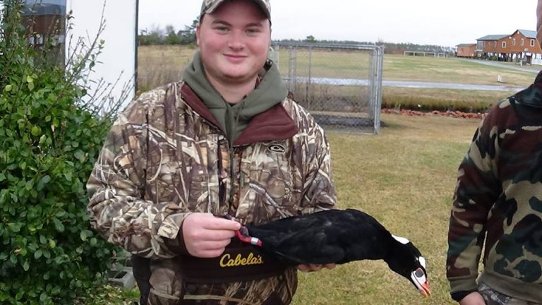 Duck Hunting Photos - CAPT FROGGY'S